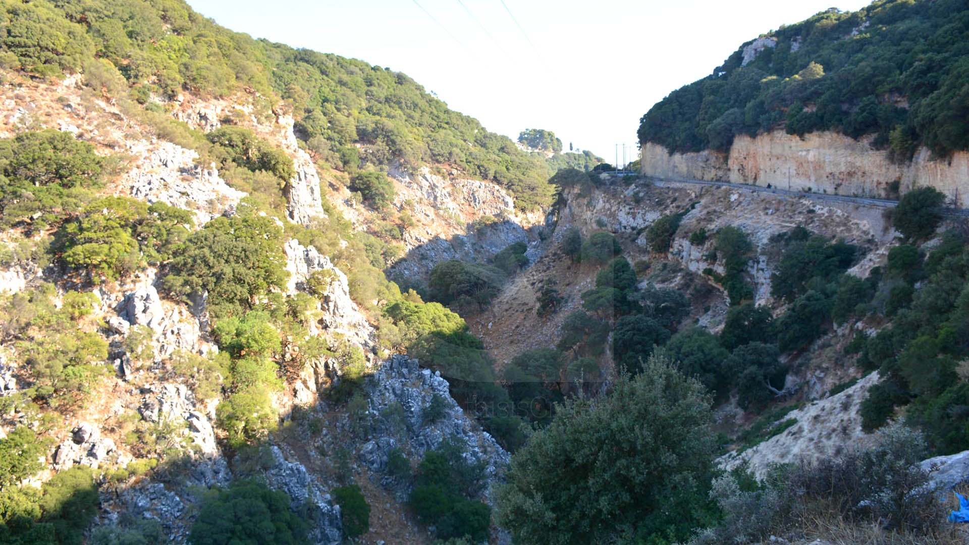 Arkadi gorge - thisiscrete . travel guide of Crete