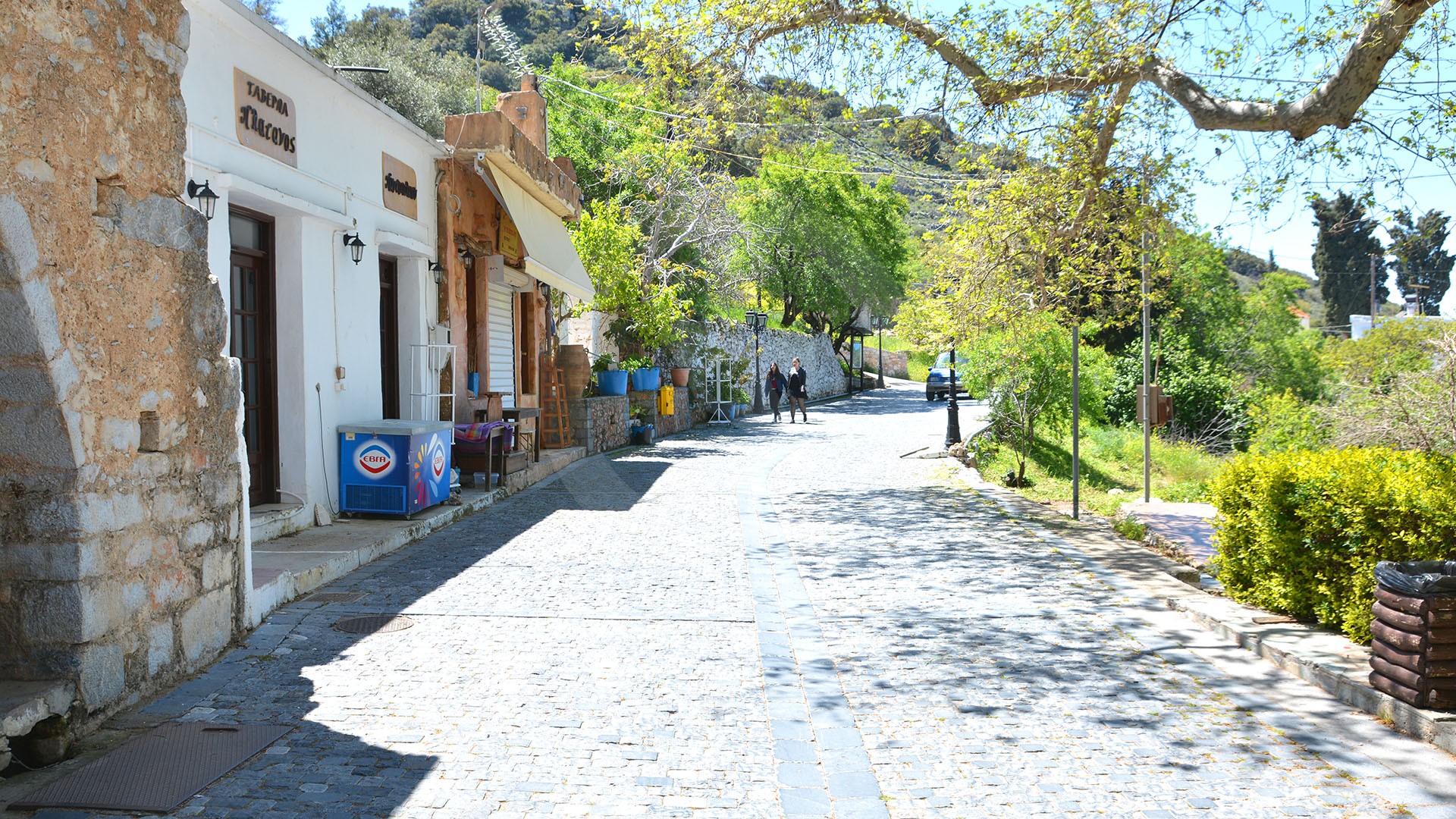 Krasi - thisiscrete . travel guide of Crete